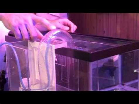 Reef Tank Overflow Styles And Plumbing Part YouTube Diy Aquarium Reef Tank Reef Aquarium