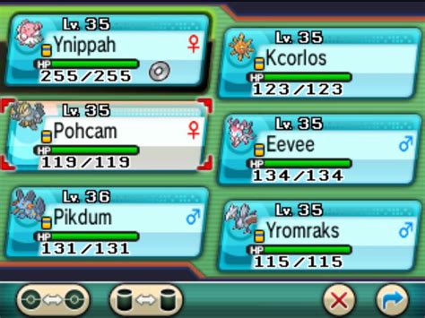 Rising Ruby Hc Skarmory Plus Blissey Should Be Illegal 2 Deaths Currently About To Do Mt