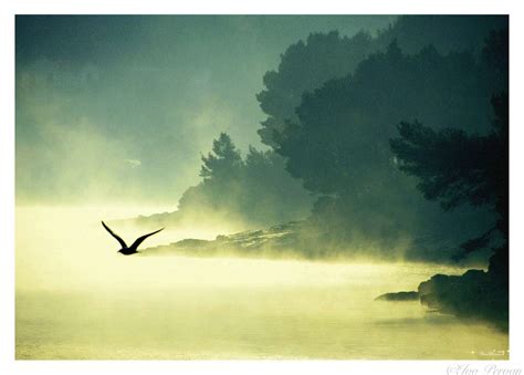 Fotografije Ivo Pervan Dubrovniknet