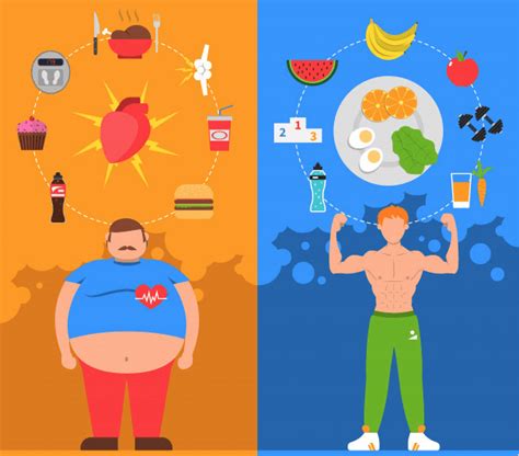 Cómo Prevenir La Obesidad En Tu Mascota