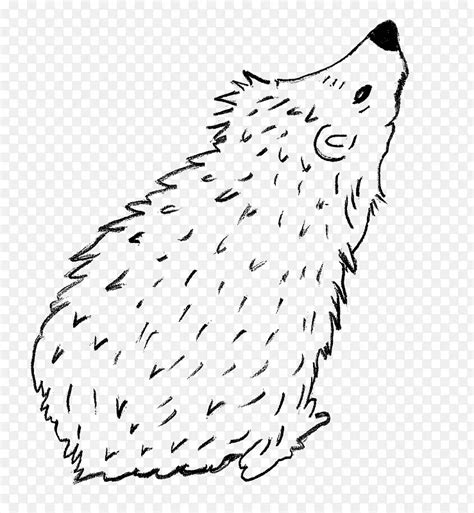 刺猬png图片素材下载 图片编号qwglvlpk 免抠素材网