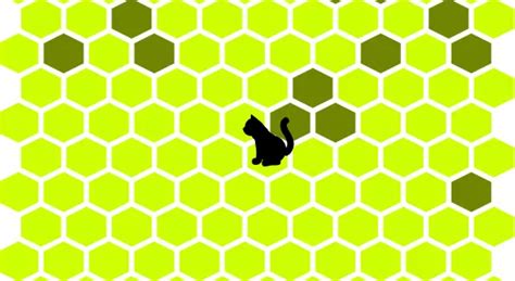 Trap The Cat Play Trap The Cat On Slope Game