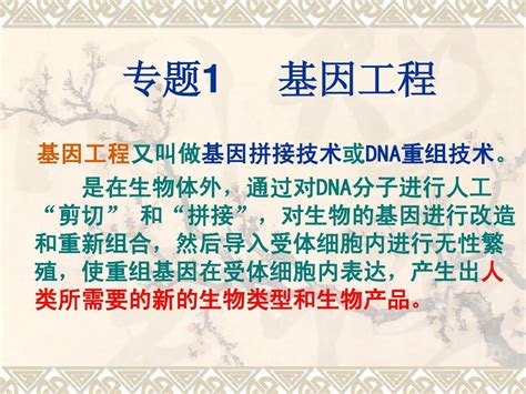 人教版生物选修三专题1基因工程课件共52张pptword文档在线阅读与下载无忧文档