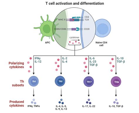 Elisa Kits Assays And Antibodies Assay Genie