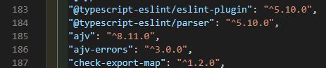 Private Packages Such As Ajv And Class Validator Shouldn T Share
