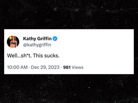 Kathy Griffin Files For Divorce Cirrkus News