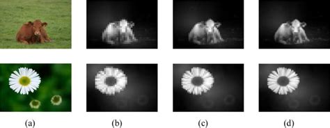 Original Images And Its Different Saliency Maps With Different Patch