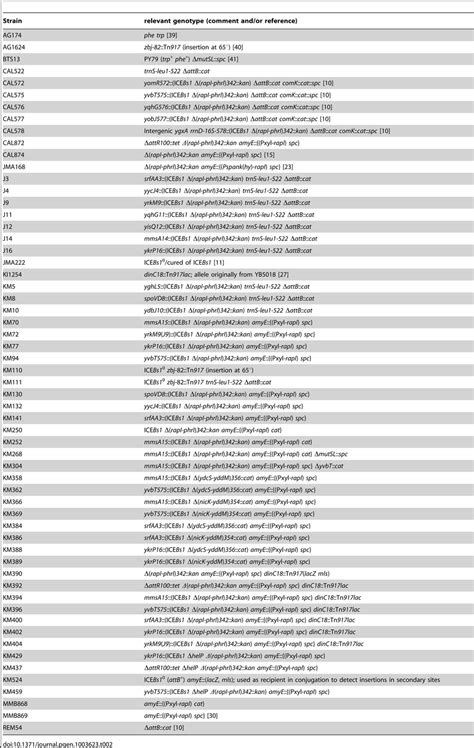 B Subtilis Strains Used Download Table