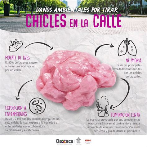 ¿chicles Corporación Cultural Luterana De Valdivia