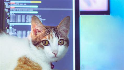 Handle Api Lifecycle With React Axios And Redux Toolkit — Part 2 By Davide Francesco Merico