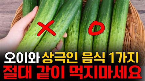 오이와 상극인 음식 Top 1 대 같이 먹지 마세요 노년기의 건강하고 행복한 삶을 위해 오이 꼭 이렇게 드세요 Youtube
