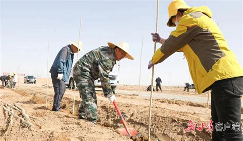 媒体看甘州新甘肃张掖乘春光 去植树