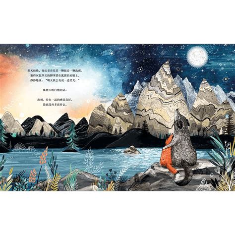 星空下的等待精装绘本图画书一本美丽且深情的绘本诉说着向亲爱的人道别之后生活将如何继续前行适合3岁以上信谊正版童书 虎窝淘