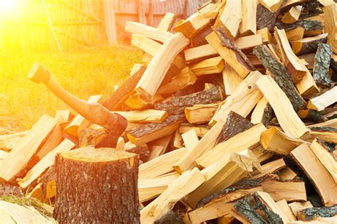 Kapak Besar Terjebak Dalam Rintisan Beech Dengan Balok Kayu Sebagai