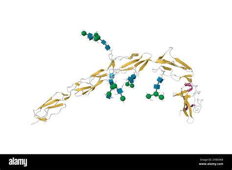 Crystal Structure Of Beta 2 Glycoprotein I Purified From Plasma Pb2gpi
