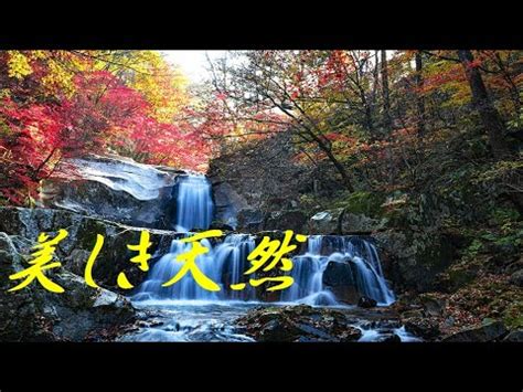 美しき天然天然の美 ギターで叙情歌歌緑咲香澄 YouTube