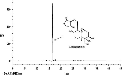 Protective Effects Of Andrographis Paniculata Extract And Pure Andrographolide Against Chronic