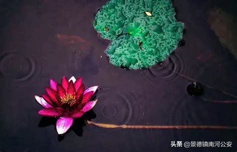 詩詞 你所不熟悉的20首六言詩，每一首都美成了一幅畫！ 每日頭條