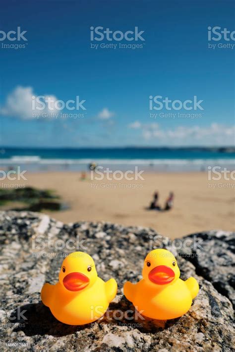 Two Rubber Ducks On Holiday In Newquay Cornwall Sat On A Wall