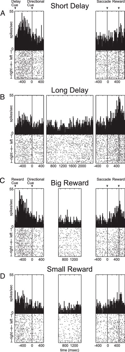 Data From A Neuron Sensitive To Predicted Delay Length In The