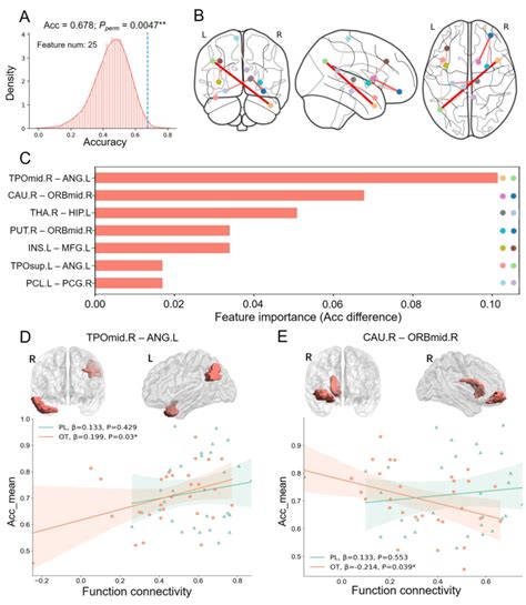 Result Of The Cpm Classifier In Resting State Fc Classification A
