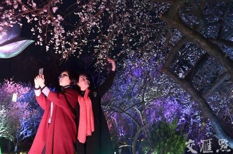 傅家邊月夜賞梅 品梅花傲然之姿 每日頭條