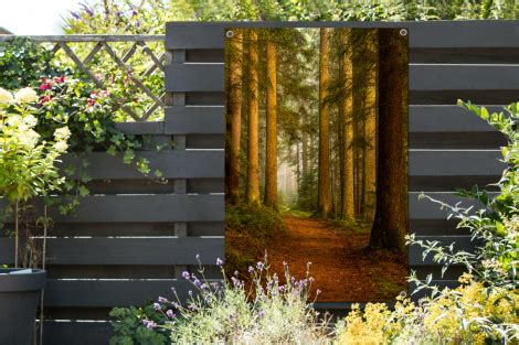 Tuinposter Bos Natuur Bomen Landschap Bladeren Staand Nu