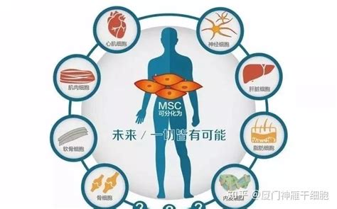 神雁干细胞丨生命诚可贵，存储价更高 知乎