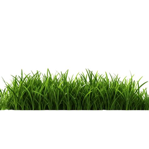 Grass Blade Pngs For Free Download