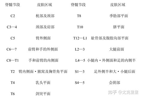 脊髓：你知道我控制哪块肌肉和哪片皮肤吗？ 知乎