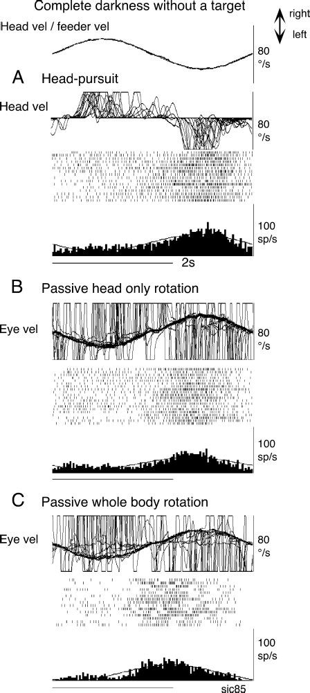 Discharge Of A Single Neuron During Head Movement In Complete Darkness
