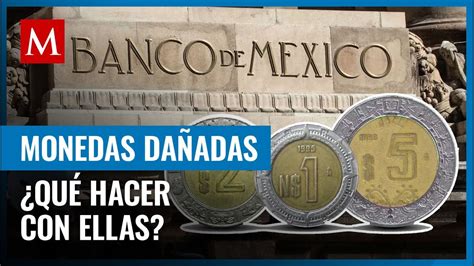 Qué puedes hacer con las monedas o billetes dañados Aquí te decimos
