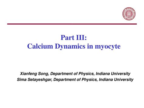 Advisor Sima Setayeshgar Ppt Download