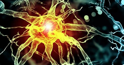 치매 상식 100년만에 뒤집혀알츠하이머 치료제 열쇠 찾았나