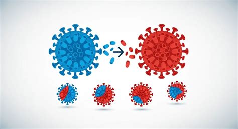 Virus Evolution Recombination And Reassortment