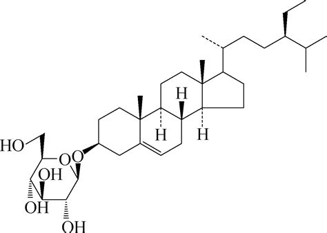 金银花 中药学 医学