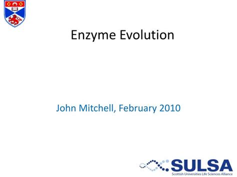 Ppt Enzyme Evolution Powerpoint Presentation Free Download Id1835955