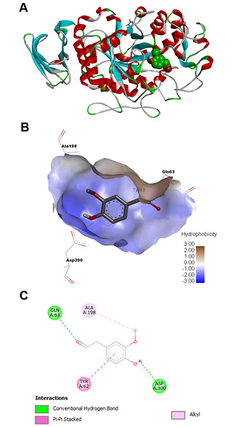 Molecular Docking Diagrams Exemplifying The Analysis Of The Best Pose