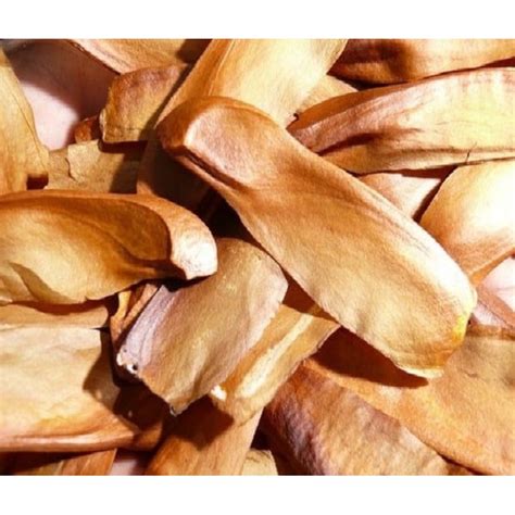 Jual 10 Biji Mahoni Herbal Kaya Manfaat Jamu Tradisional Shopee Indonesia