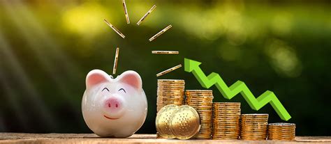 What Is Cardano And Is It Worth Investing In ADA In Trading Education