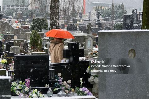겨울에 눈으로 덮여 묘지에 빨간 우산으로 여자 슬로바키아 12월에 대한 스톡 사진 및 기타 이미지 12월 건축 겨울 Istock