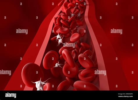 Reduced Platelet Thrombocytes Count In Immune Thrombocytopenic Purpura Itp Front View 3d