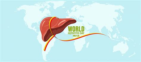 World Hepatitis Day Awareness Prevention Treatment STDcheck