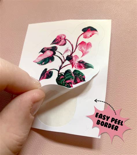 Philodendron Pink Princess Sticker Great Gift For Her Mom Grandma