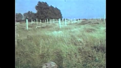 Retro Hairy Pussy Bdsm Xnxx Com