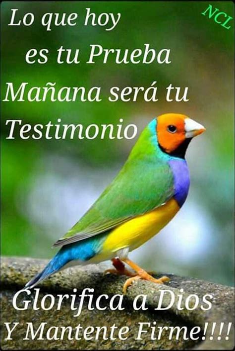Pin De Tito Manriquez En A Titi Manri Frases Bonitas De Amistad