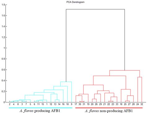 Pca Principal Component Analysis Dendrogram Presented Relatedness