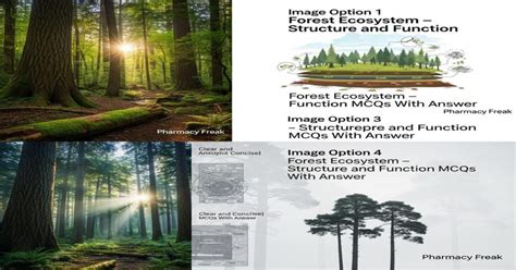 Forest Ecosystem Structure And Function Mcqs With Answer Pharmacy Freak