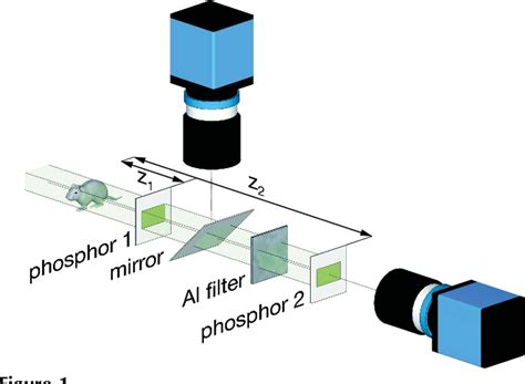 Figure 1 From Single Exposure Dual Energy Subtraction X Ray Imaging
