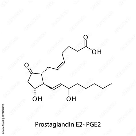 Prostaglandin E2 Prostaglandin Biomolecule Molecular Formula Skeletal Molecule Structure Vector